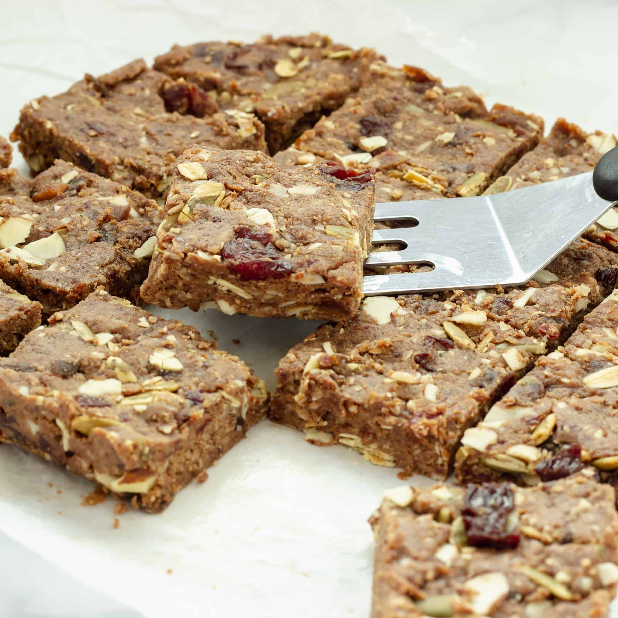 No Bake Fruit and Nut Bars | Craving Something Healthy